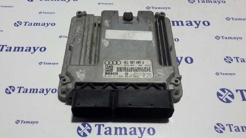 Engine control unit (ECU) AUDI A8 D3 (4E2, 4E8) 4.2 TDI quattro 202553 ...