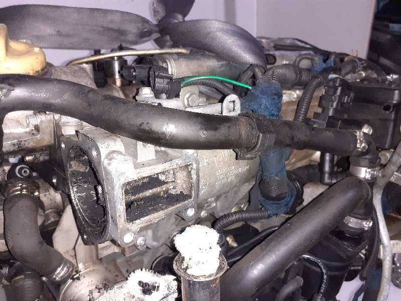 Engine ALFA ROMEO GT (937_) 1.9 JTD (937CXN1B) 6829292 | B-Parts