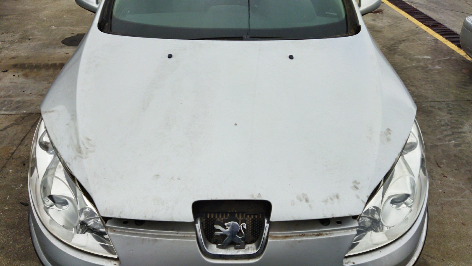 Capot PEUGEOT 407 SW (6E_) 1.6 HDi 110 8060167 | B-Parts