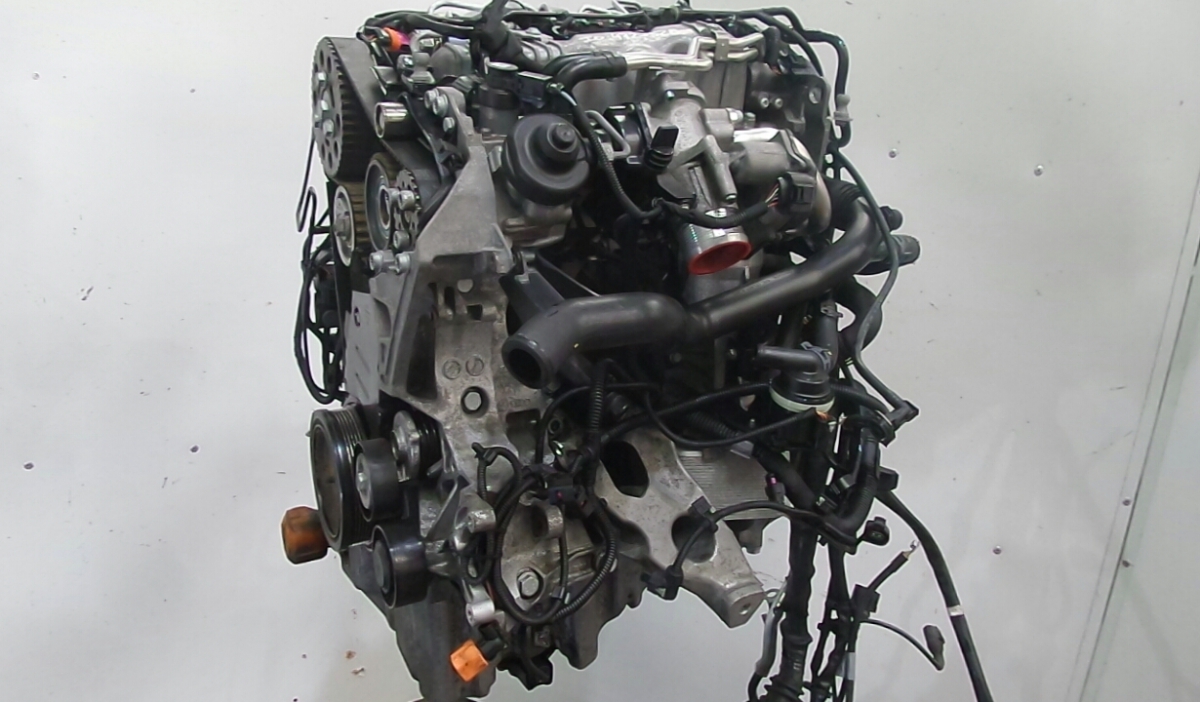 Moteur AUDI A4 Avant (8K5, B8) 2.0 TDI CAGB | B-Parts