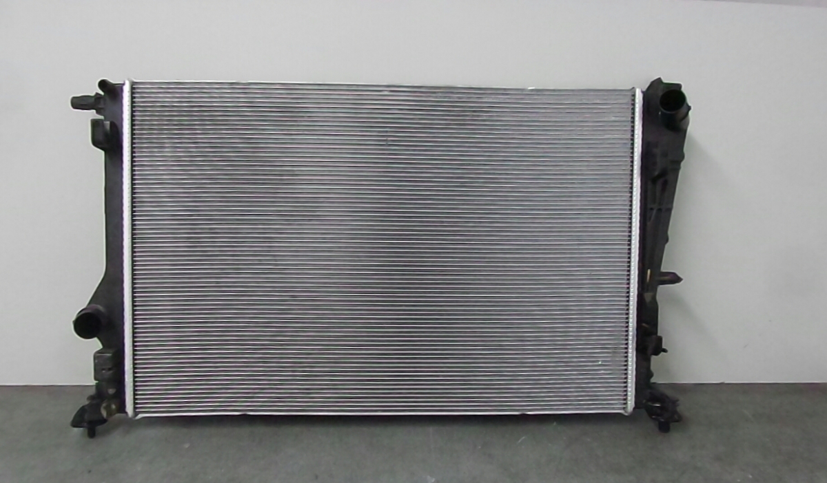Water radiator RENAULT MEGANE IV Hatchback (B9A/M/N_) 1.5 Blue dCi 115 ...