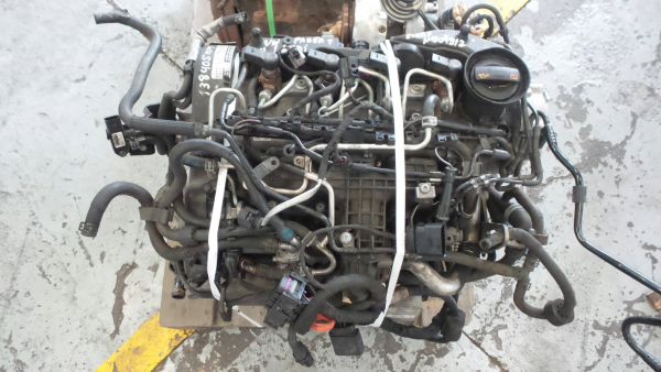 Engine VW PASSAT B7 Variant (365) 1.6 TDI CAYC / CAY B04312 | B-Parts
