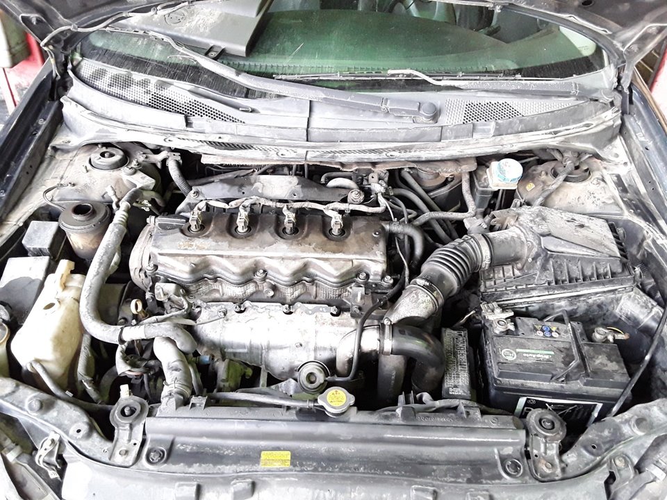 Engine NISSAN PRIMERA (P12) 10707214 | B-Parts