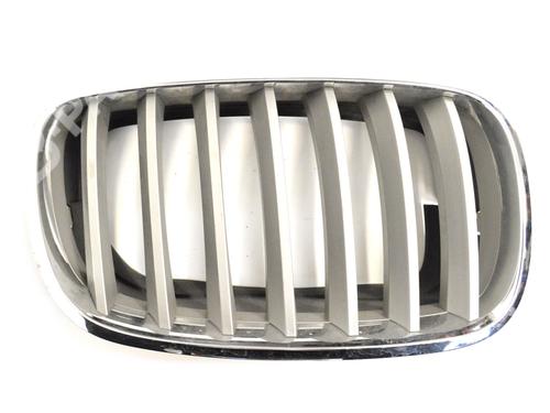Front grille BMW X6 (E71, E72) xDrive 30 d 8147154 | B-Parts