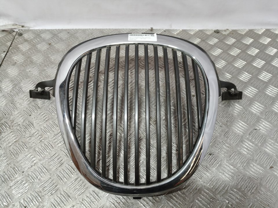 Front grille JAGUAR S-TYPE II (X200) 10255018 | B-Parts