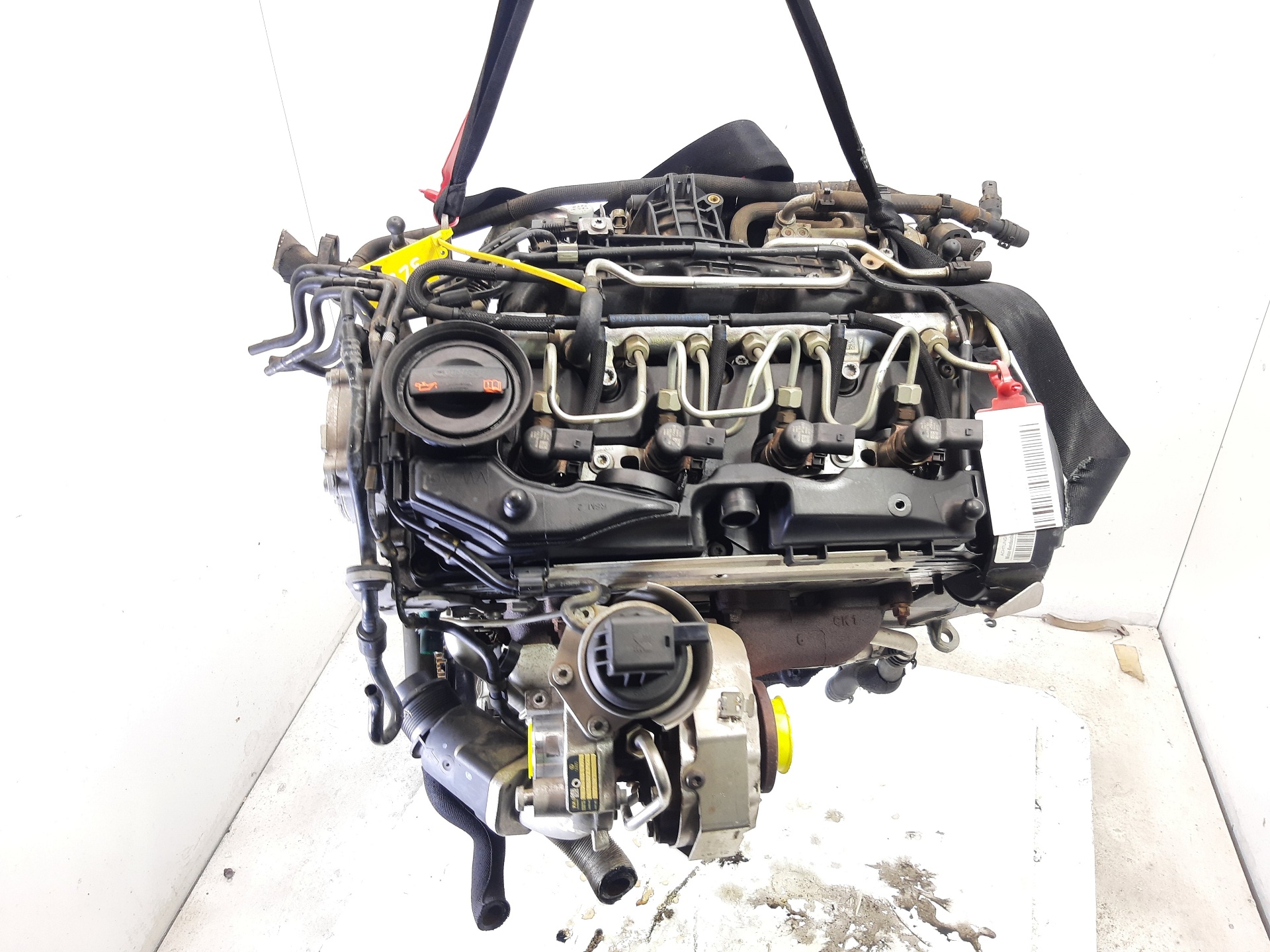 Engine SEAT IBIZA IV (6J5, 6P1) 1.6 TDI 16244640 | B-Parts