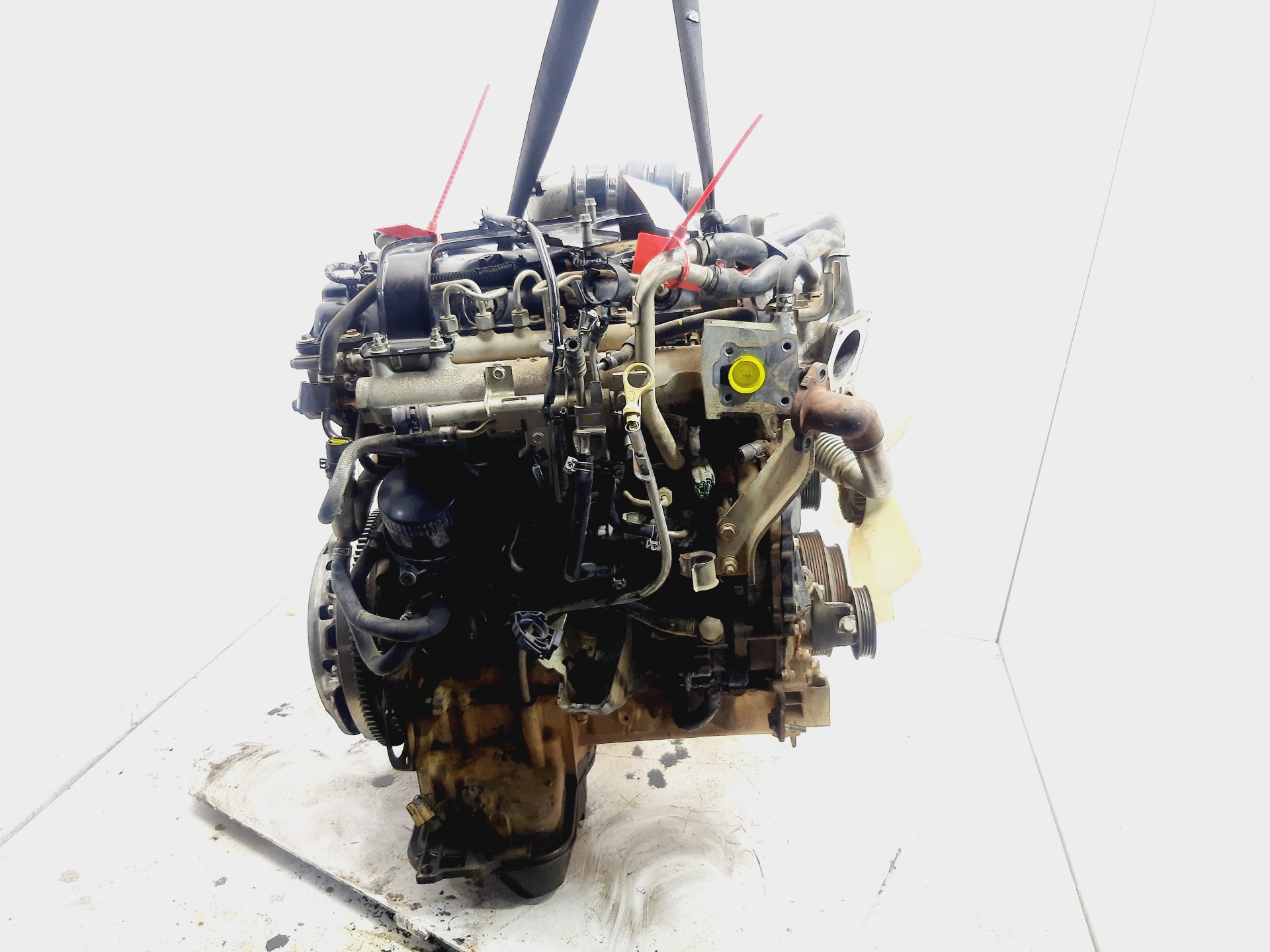 Motor NISSAN PATHFINDER III (R51) 2.5 dCi 19487727 | B-Parts