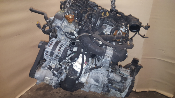 Engine VW POLO V (6R1, 6C1) 1.4 TDI 3030646 | B-Parts