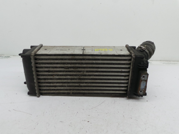 Intercooler CITROËN C4 Grand Picasso I (UA_) 1.6 HDi 9648551880 | B-Parts