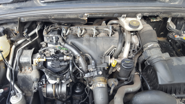 Engine PEUGEOT 308 I (4A_, 4C_) 2.0 HDi 3029674 | B-Parts