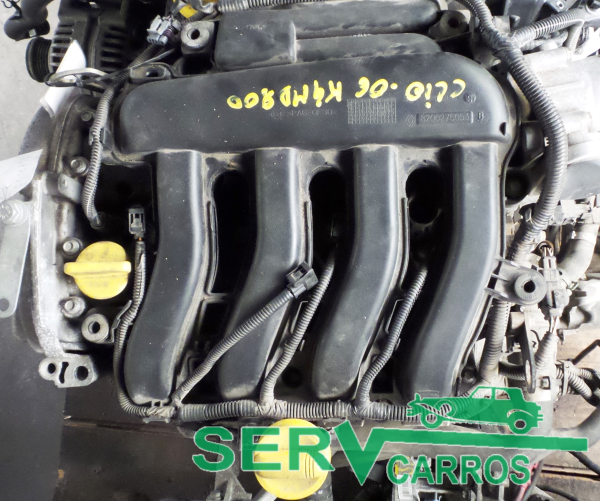 Engine RENAULT CLIO III (BR0/1, CR0/1) 3027038 | B-Parts