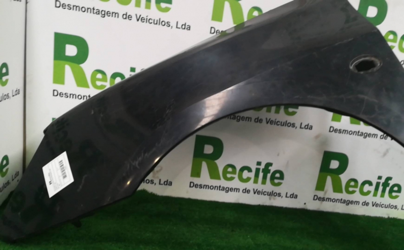 Left front fenders PEUGEOT 307 (3A/C) | B-Parts