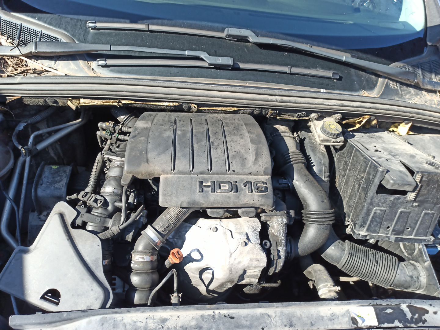 Moteur PEUGEOT 308 SW I (4E_, 4H_) 1.6 HDi 7667328 | B-Parts