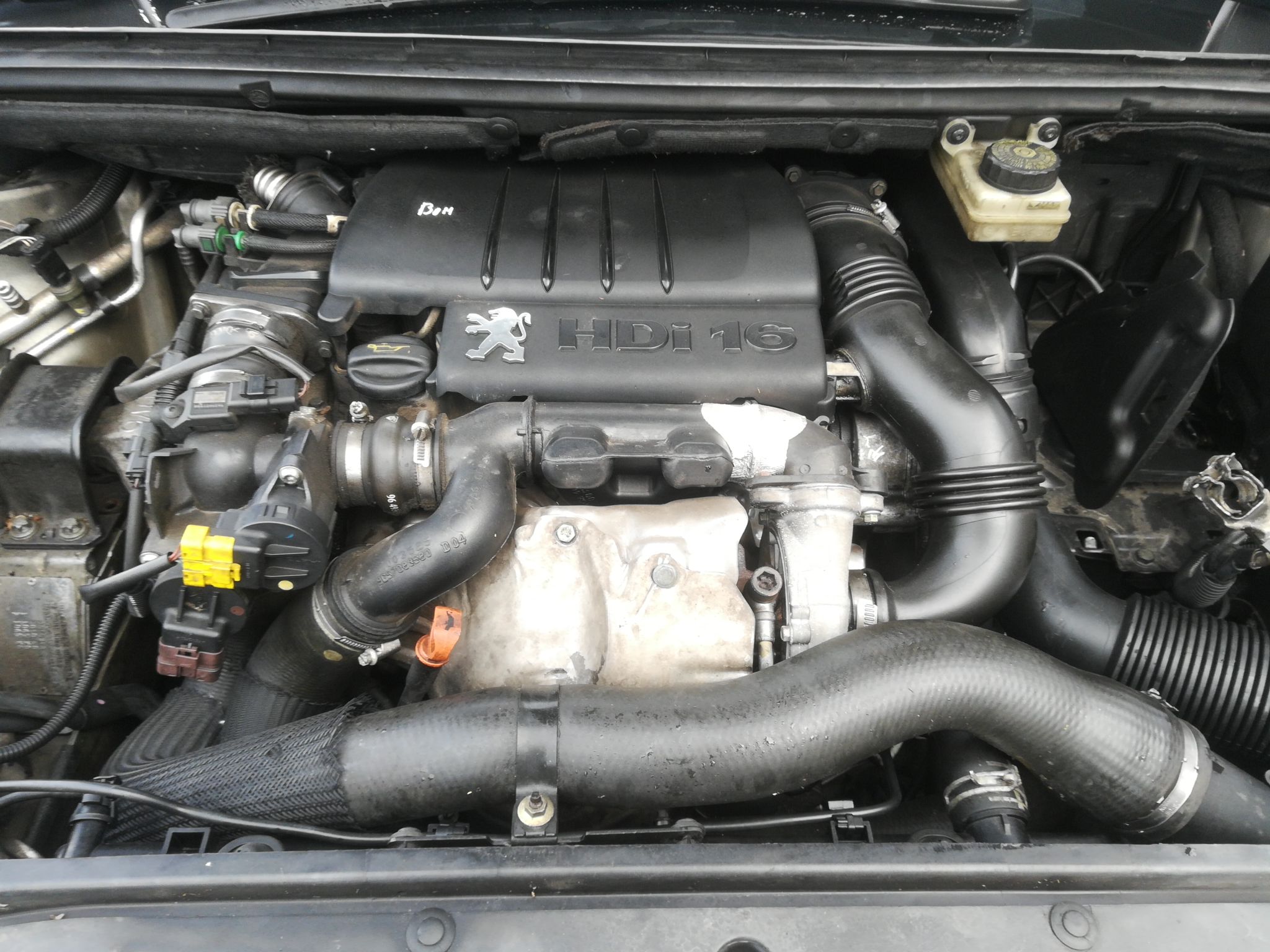 Engine PEUGEOT 307 SW (3H) 1.6 HDI 110 6677974 | B-Parts