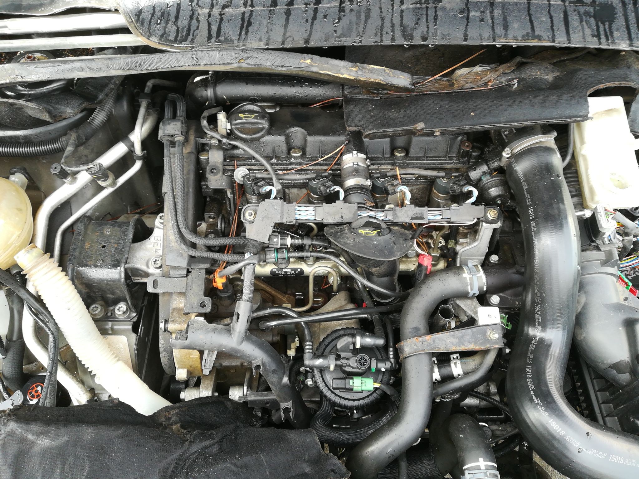 Engine PEUGEOT 307 SW (3H) 2.0 HDI 90 6448100 | B-Parts