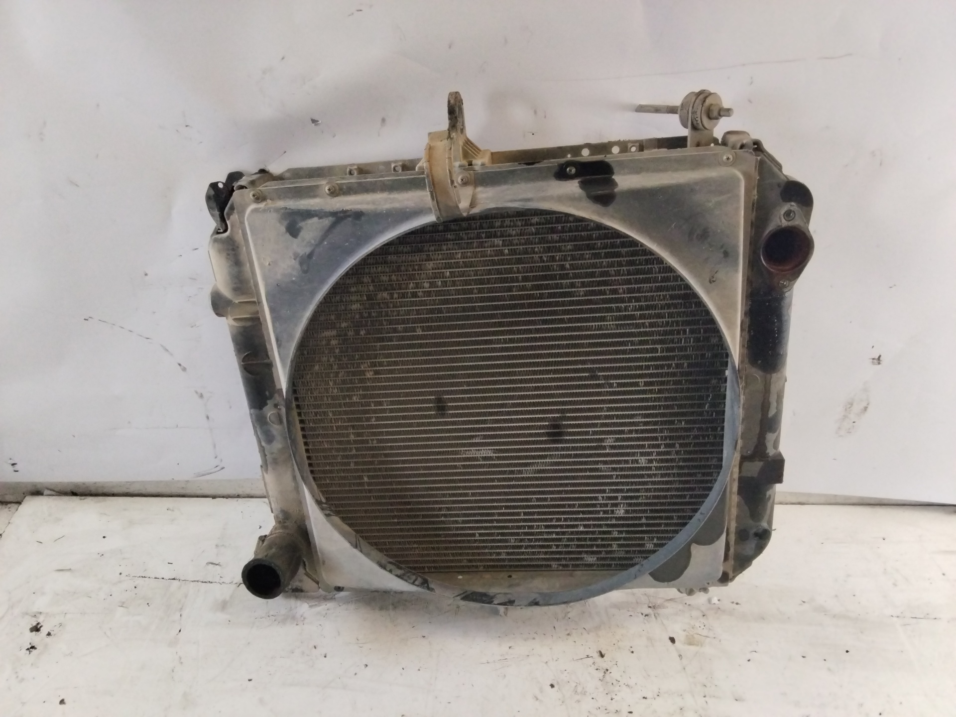 Water radiator NISSAN CABSTAR E (TL_, VL_) 21073626 | B-Parts