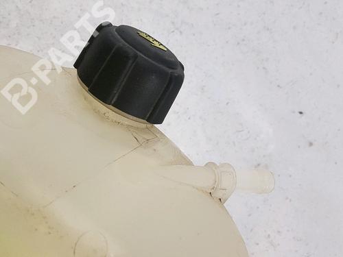 Expansion tank RENAULT MASTER III Van (FV) 2.3 dCi 125 RWD (FV0C, FV0D ...