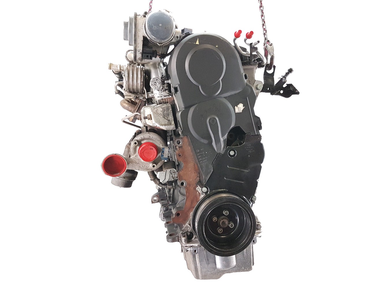 Engine VW GOLF V (1K1) 1.9 TDI 11877542 | B-Parts