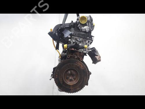 Motor RENAULT CLIO II (BB_, CB_) 1.2 16V (BB05, BB0W, BB11, BB27, BB2T, BB2U, BB2V, CB05 ...