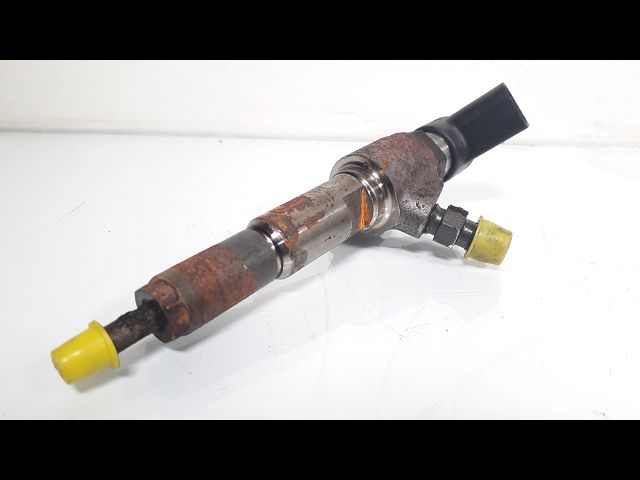 Injector CITROËN C4 Picasso I MPV (UD_) 1.6 HDi 110 11131547 | B-Parts