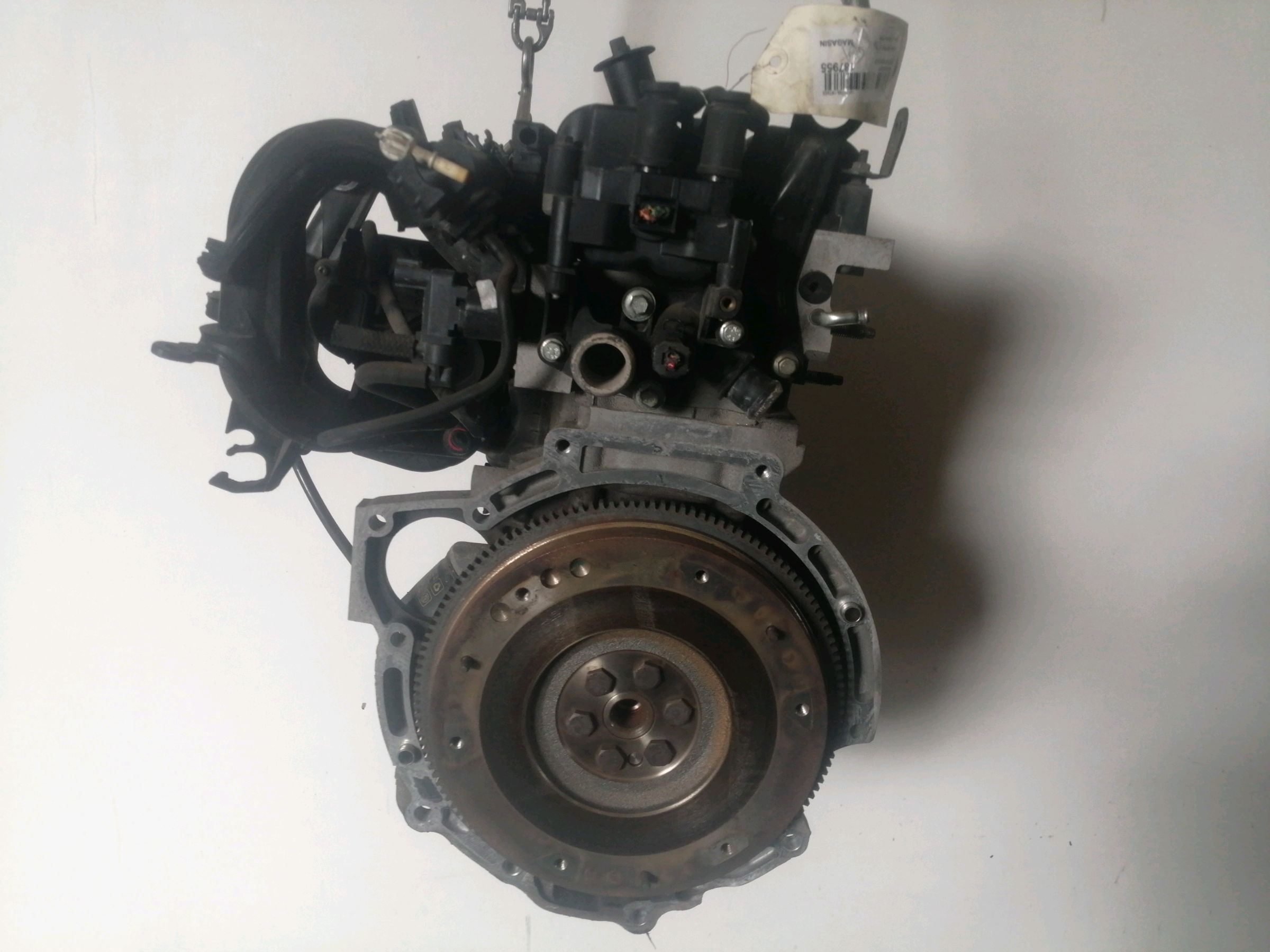 Motor FORD FIESTA V (JH_, JD_) 1.25 16V 10490088 | B-Parts