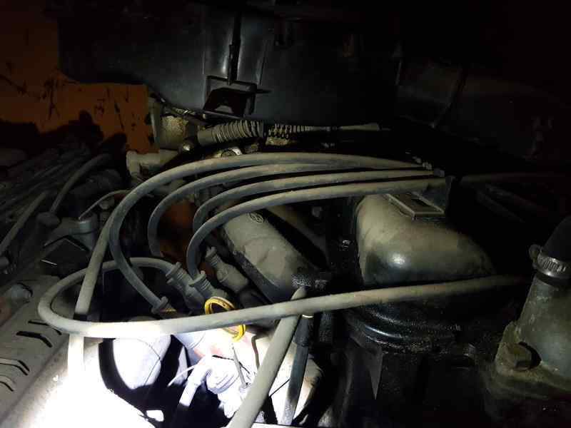 Motor FORD ESCORT IV (GAF, AWF, ABFT) 1.3 1793916 | B-Parts