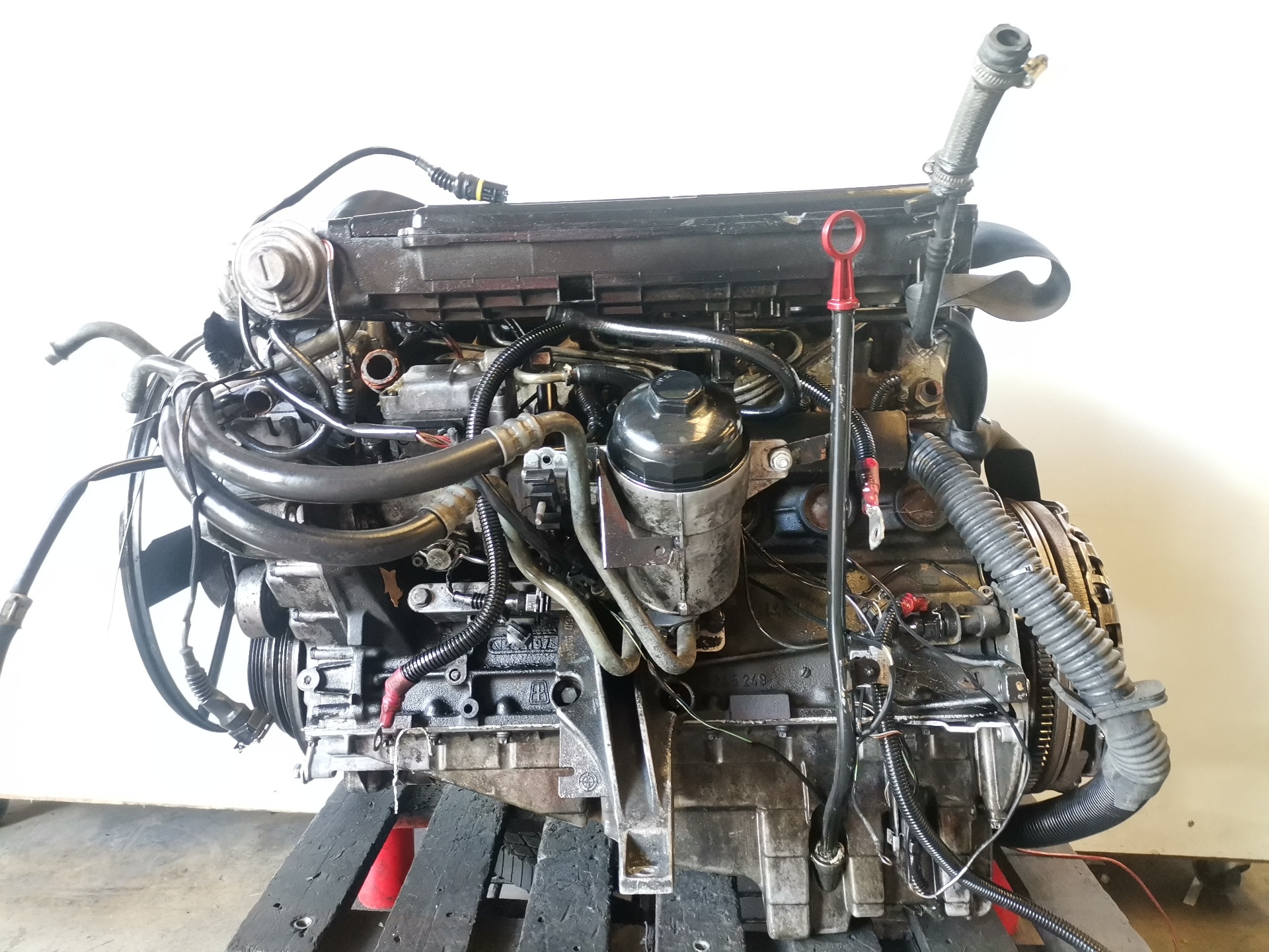 Engine BMW 5 (E39) 525 tds 10357380 | B-Parts