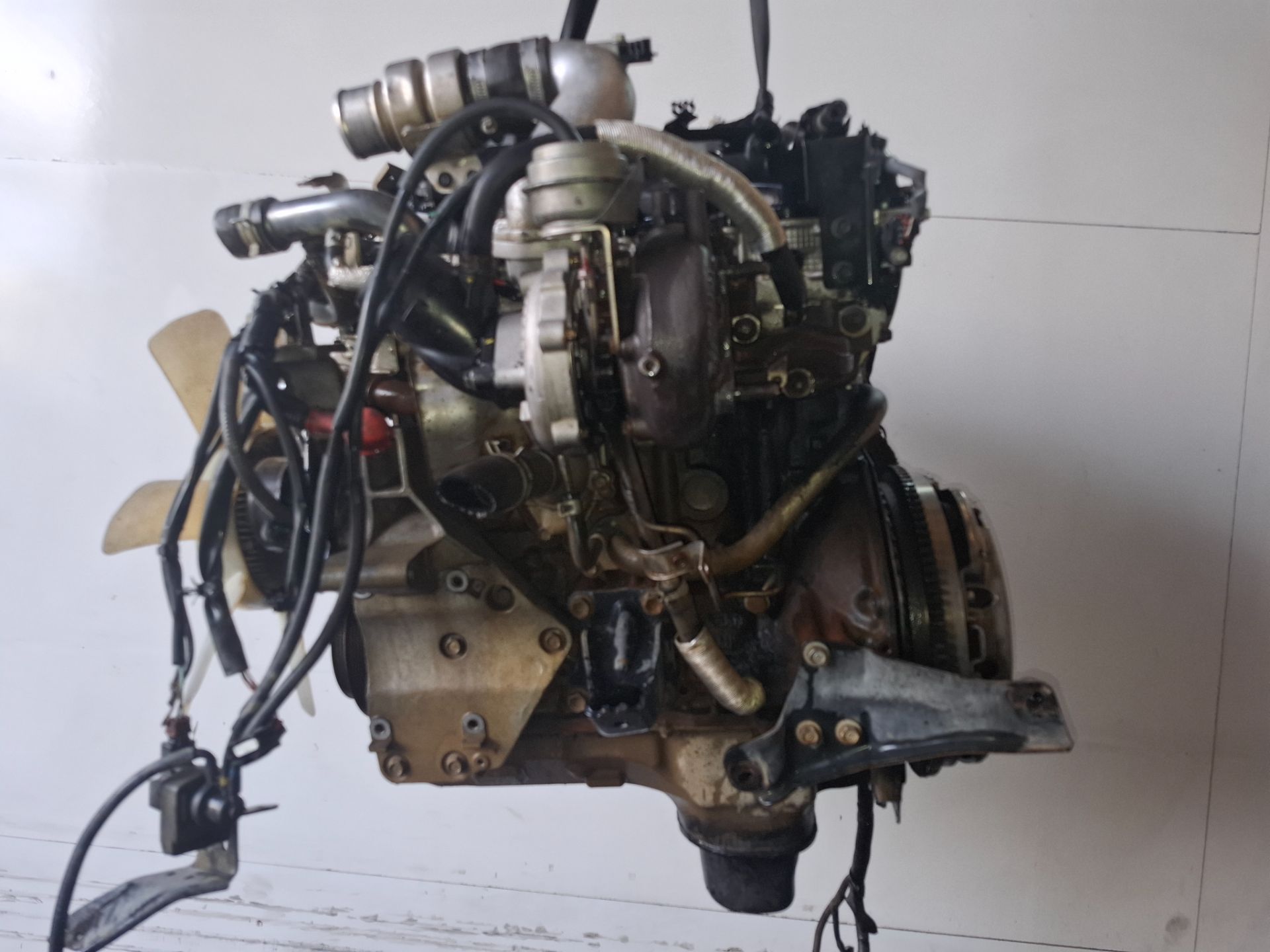 Motor NISSAN PATHFINDER III (R51) 2.5 dCi 4WD 30134161 | B-Parts