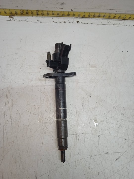 Injector LAND ROVER DISCOVERY IV (L319) 3.0 TD 4x4 9551356 | B-Parts