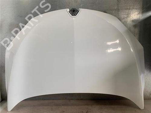 Capot RENAULT MEGANE III Hatchback (BZ0/1_, B3_) 2.0 dCi (BZ0Y) 5878888 ...