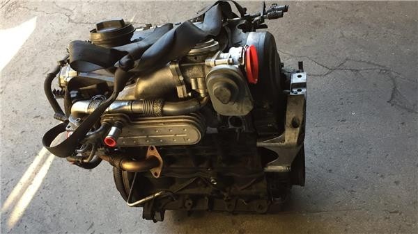 Engine VW GOLF V (1K1) 1.9 TDI 9661198 | B-Parts