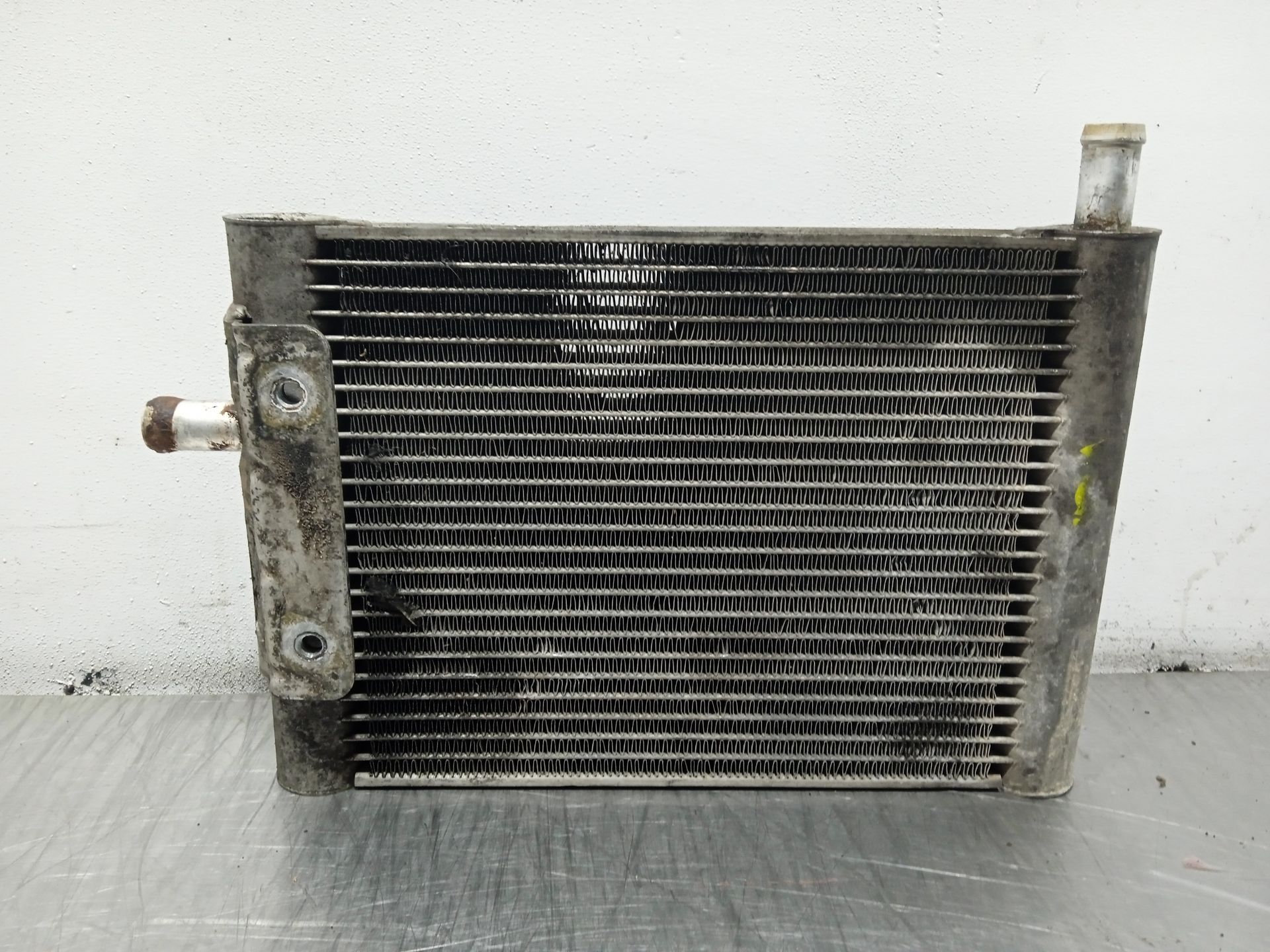 Water radiator LAND ROVER RANGE ROVER III (L322) 3.6 D 4x4 10012701 | B ...