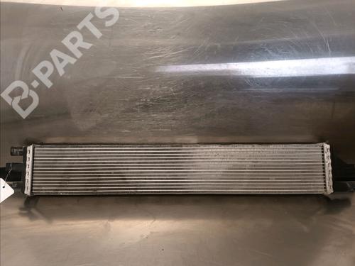 Water radiator RENAULT MASTER III Van (FV) 2.3 dCi 130 FWD (FV0M, FV0Y ...