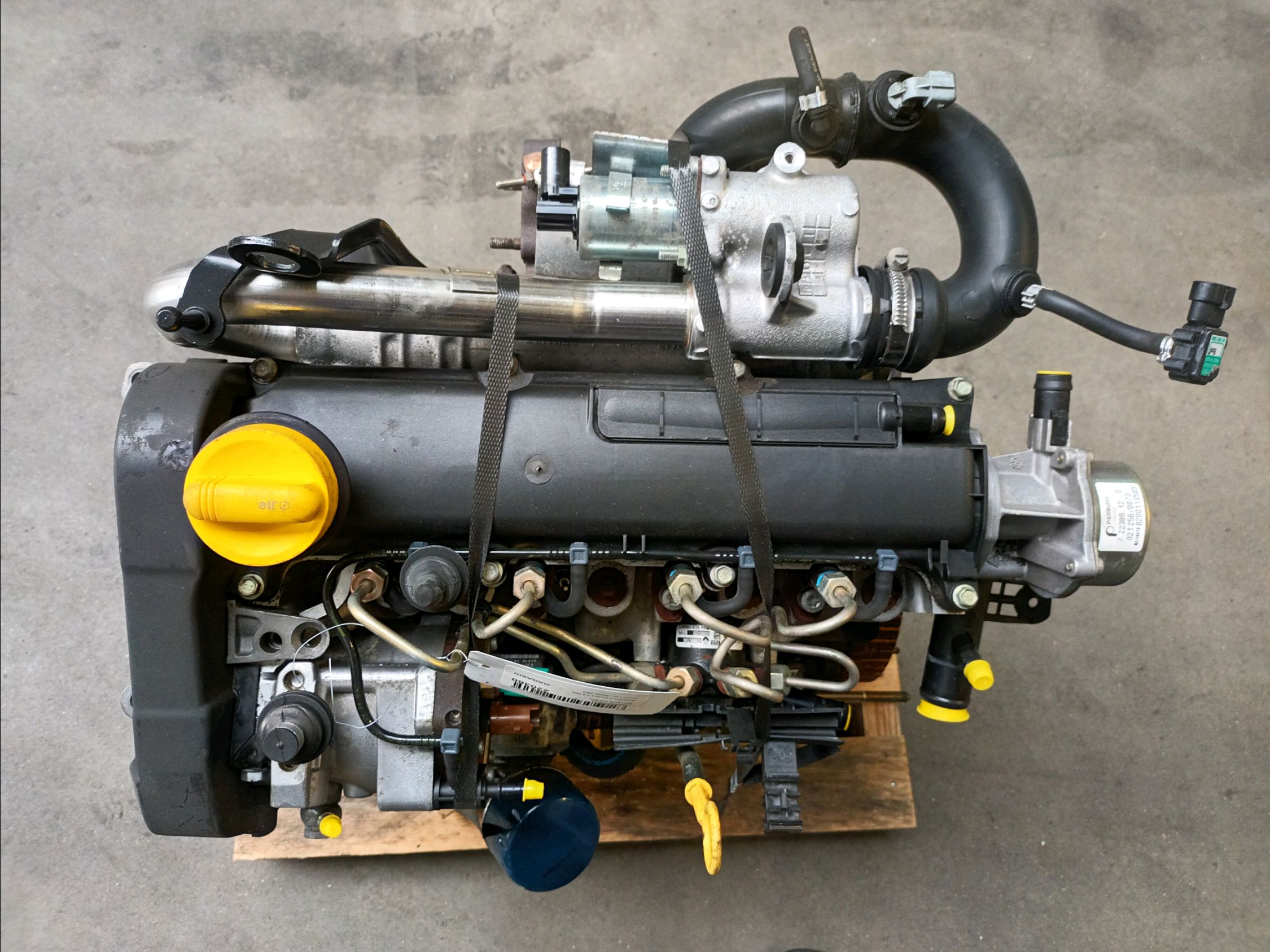 Engine RENAULT CLIO II (BB_, CB_) 1.5 dCi (B/CB07) 10237666 | B-Parts
