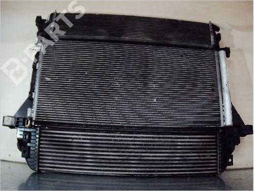 Wasserkühler RENAULT MASTER III Van (FV) 2.3 dCi 125 FWD (FV0C, FV0D ...