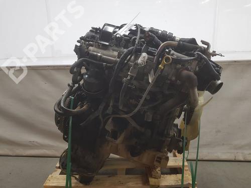 Moteur NISSAN PATHFINDER III (R51) 2.5 dCi 4WD 11129257 | B-Parts