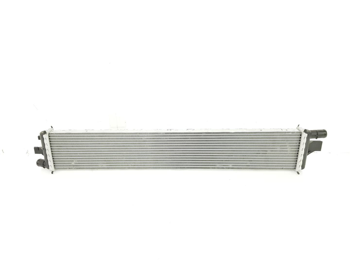 Water radiator RENAULT MASTER III Van (FV) 2.3 dCi 135 FWD (FV0N, FV08 ...