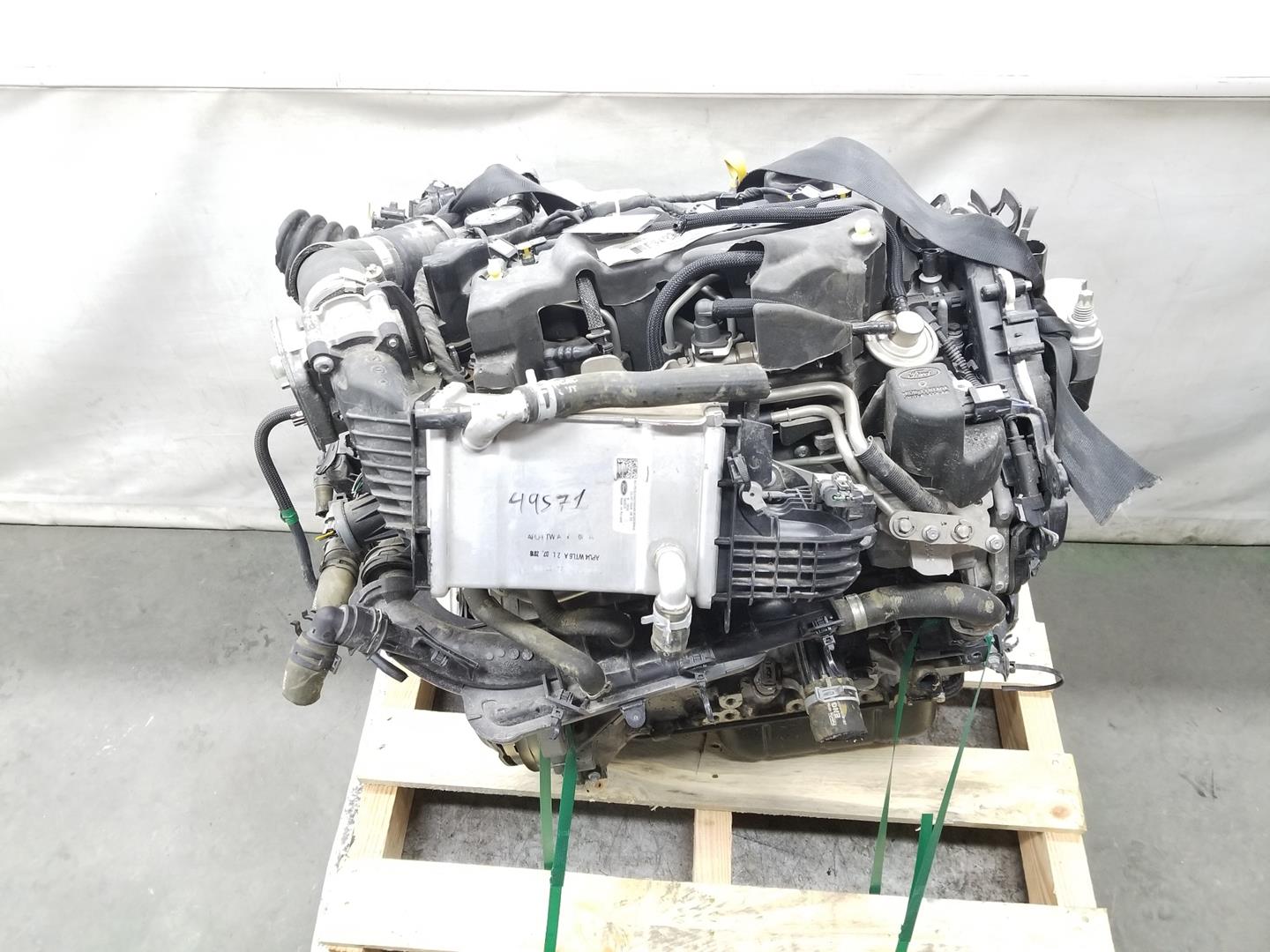 Engine FORD FOCUS IV (HN) 1.5 EcoBlue 12460813 | B-Parts