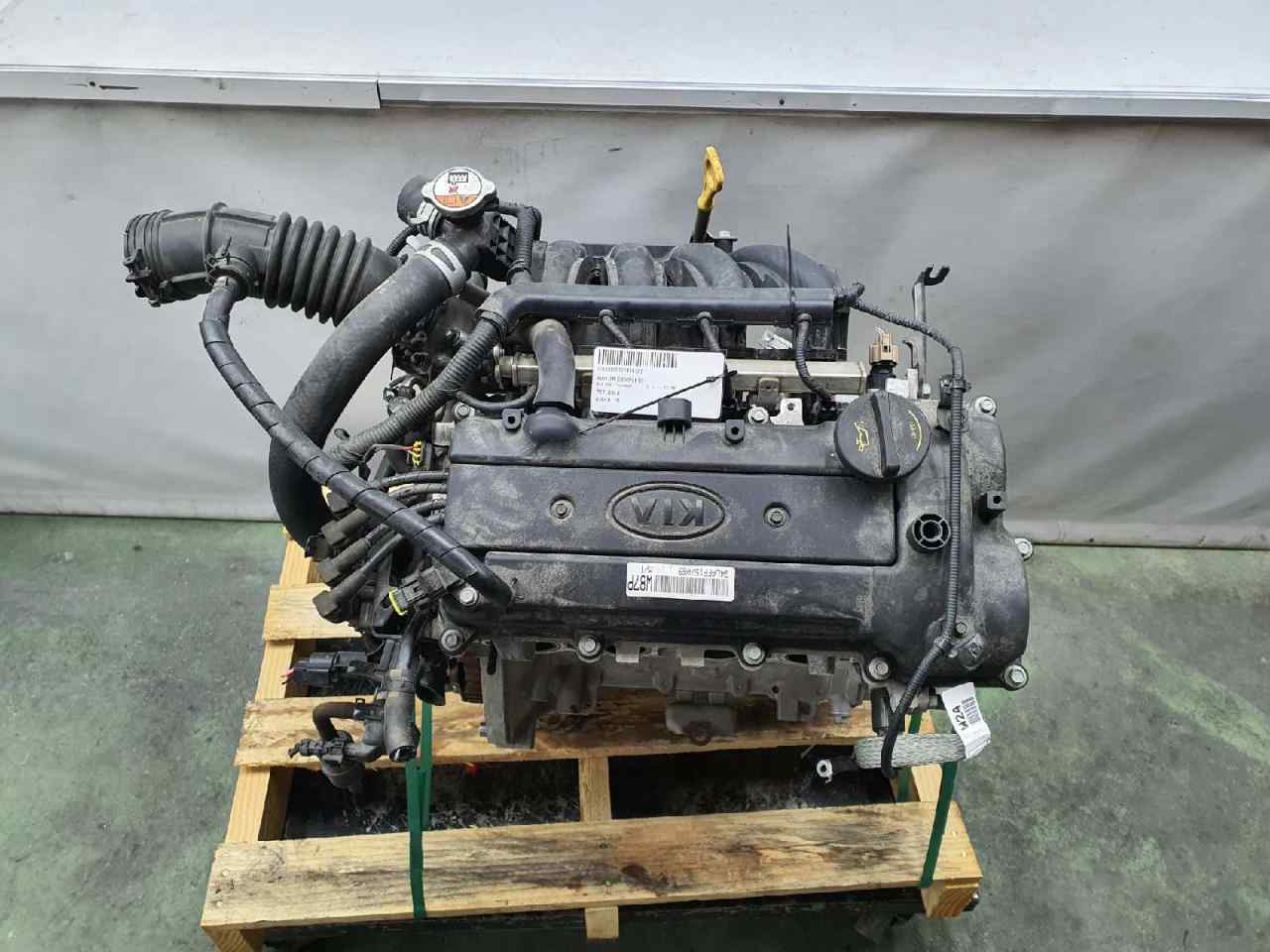 Engine KIA RIO III (UB) 7231910 | B-Parts