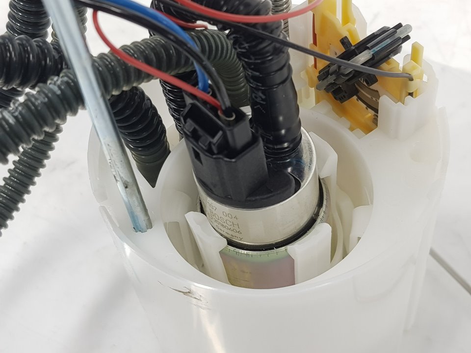 Fuel pump FORD ECOSPORT 1.0 EcoBoost 6813976 | B-Parts