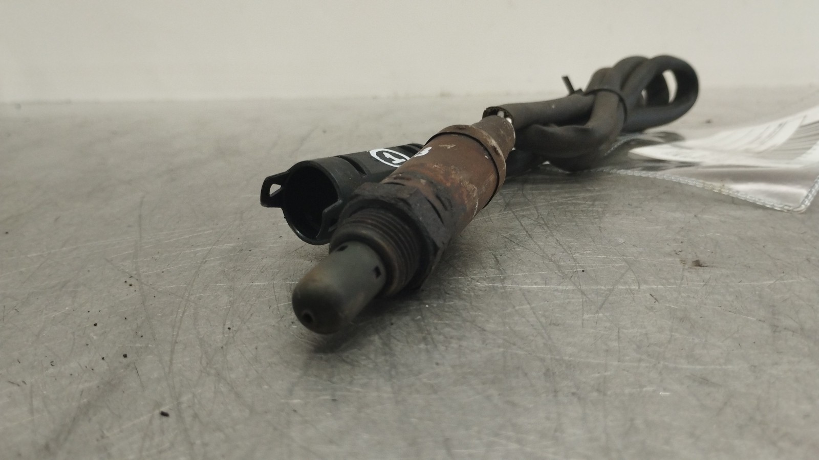 Electronic sensor BMW X5 (E53) 3.0 i 10097037 | B-Parts