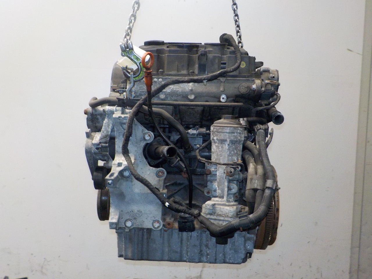 Engine VW GOLF V (1K1) 1.9 TDI 11765155 | B-Parts