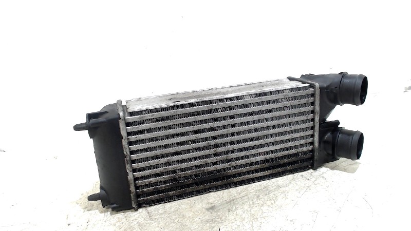 Water radiator PEUGEOT 3008 I MPV (0U_) 1.6 HDi 6868209 | B-Parts
