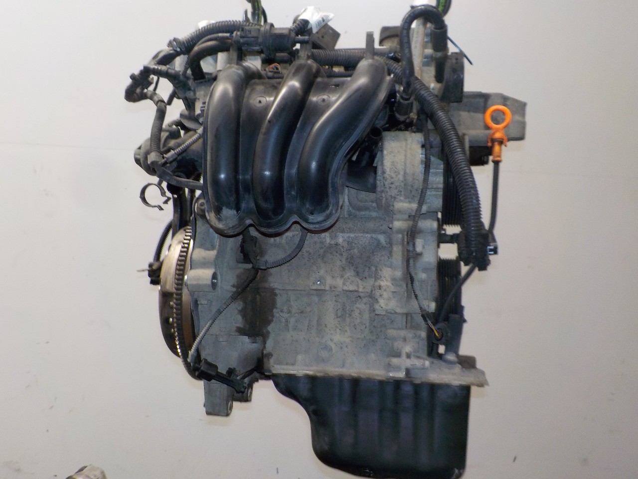 Engine VW POLO (9N_) 1.2 11205598 | B-Parts