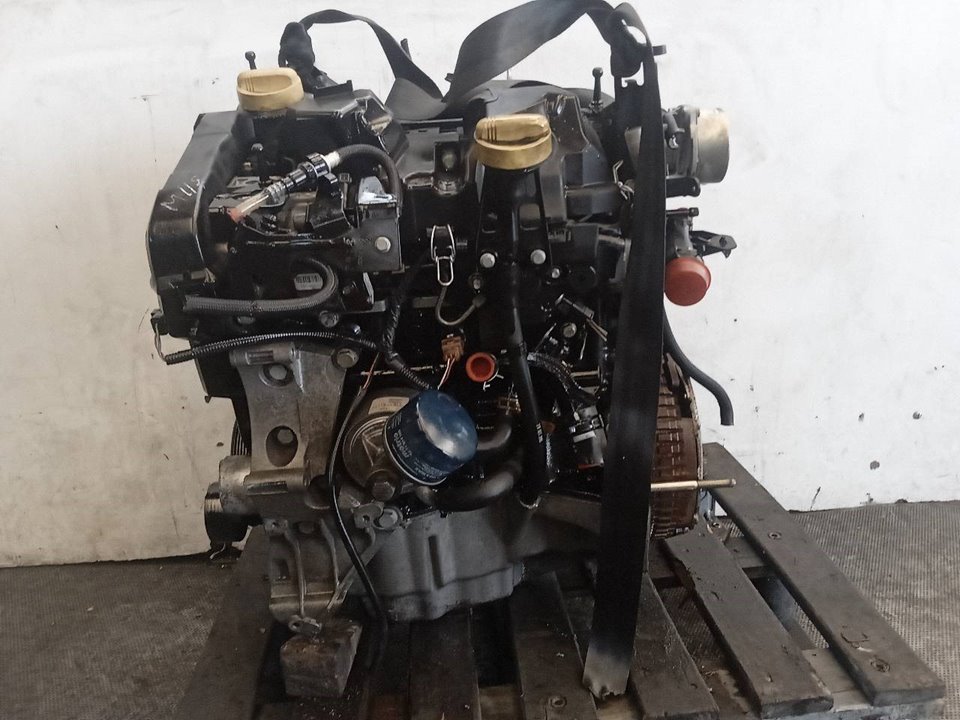 Motor RENAULT MODUS / GRAND MODUS (F/JP0_) 1.5 dCi (FP0D, JP0D) 2678560 | B-Parts