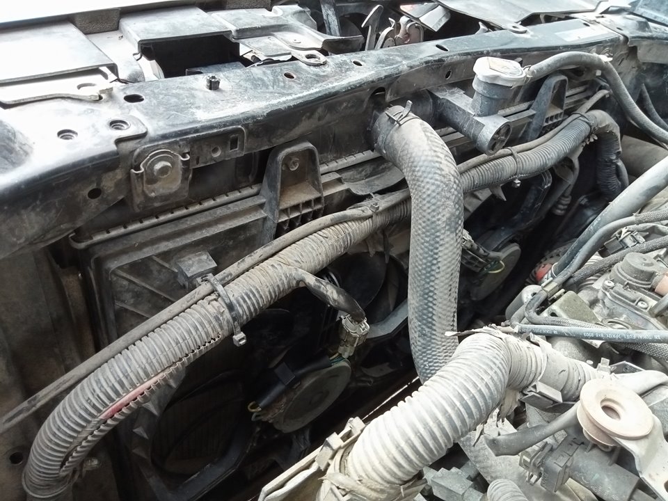 Water radiator NISSAN X-TRAIL II (T31) 2.0 dCi 4x4 16963932 | B-Parts