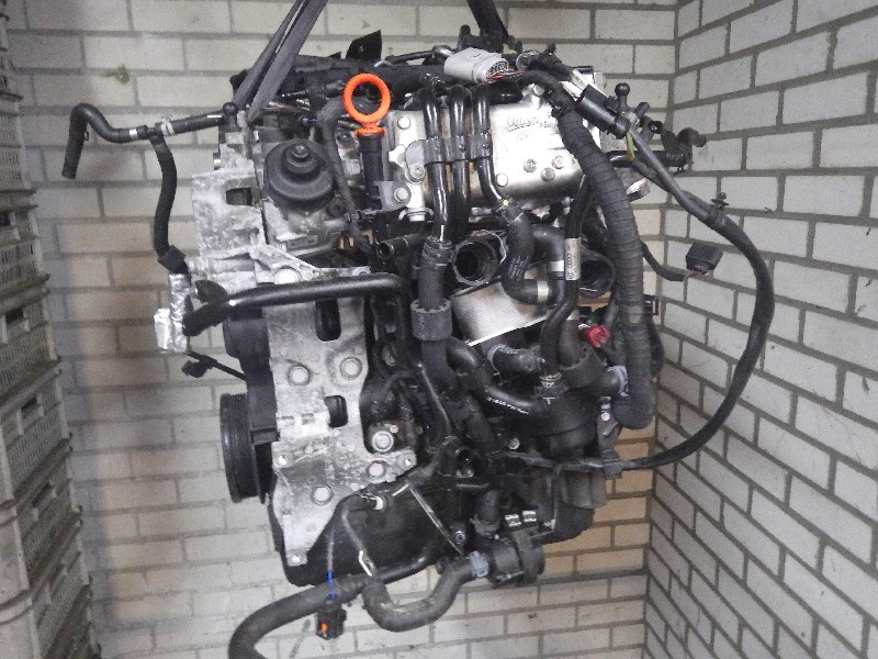 Moteur AUDI A3 (8V1, 8VK) 2.0 TDI 4770622 | B-Parts