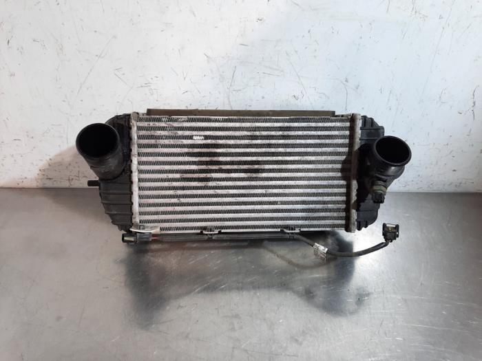 Intercooler HYUNDAI TUCSON (TL, TLE) 2.0 CRDi All-wheel Drive 29701034 ...