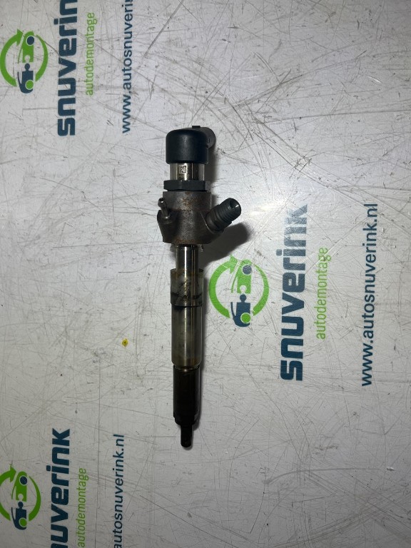 Injector RENAULT SCÉNIC III (JZ0/1_) 1.5 dCi 11146235 | B-Parts