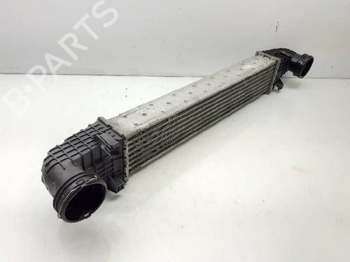 Ladeluftkühler MERCEDES-BENZ E-CLASS (W211) E 220 CDI (211.008) 7652810 ...